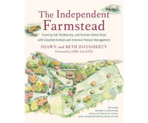 How to build a perfect paddock for grazing | Hello Homestead