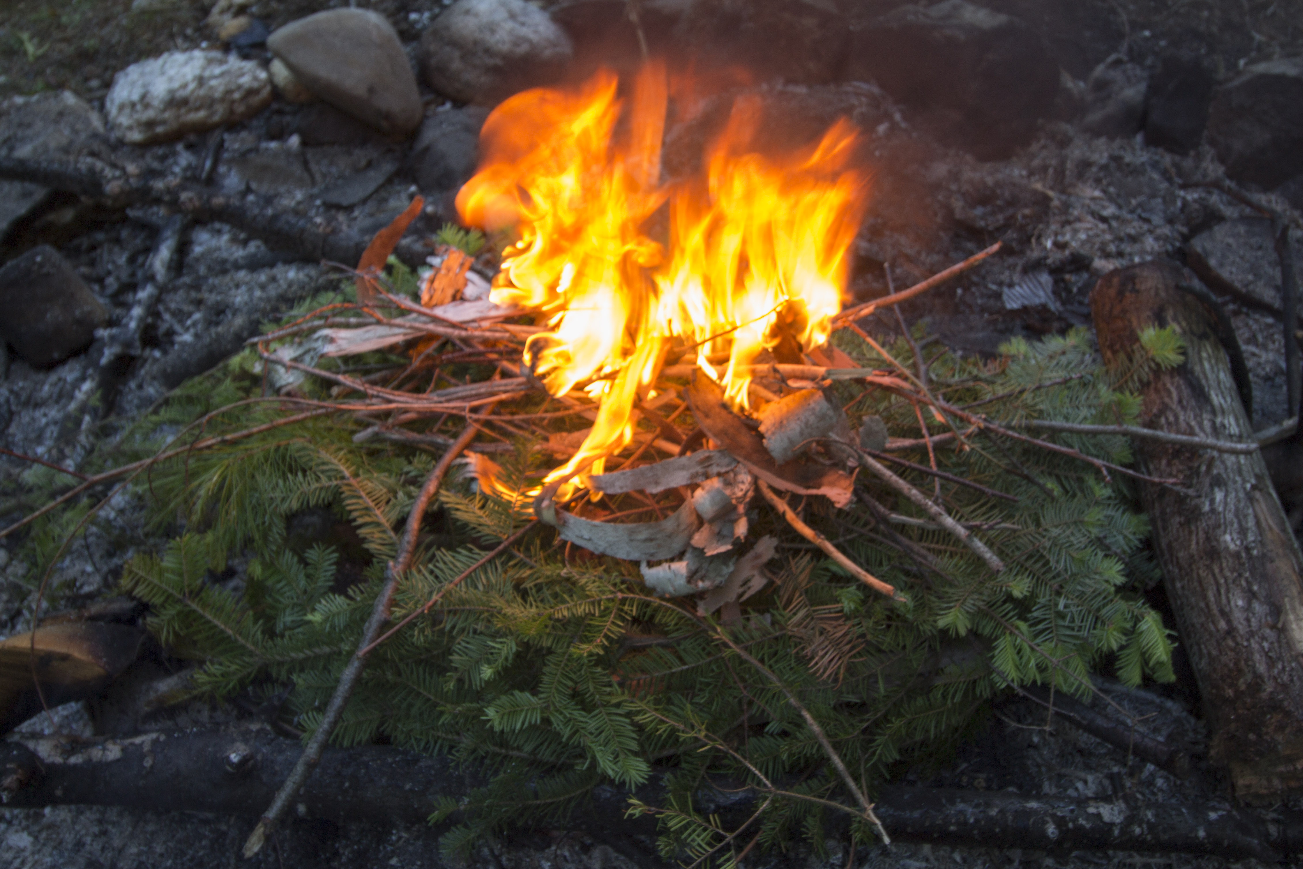 How to build a foolproof campfire for cooking | Hello Homestead