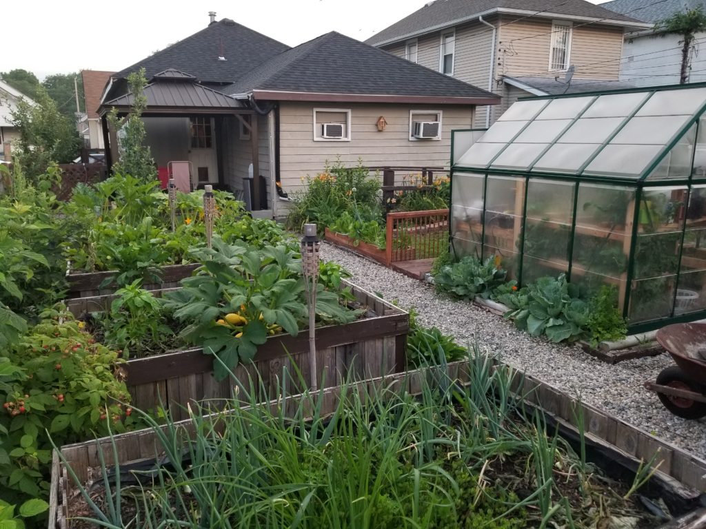 Harold Thornbro thinks you should start homesteading now | Hello Homestead