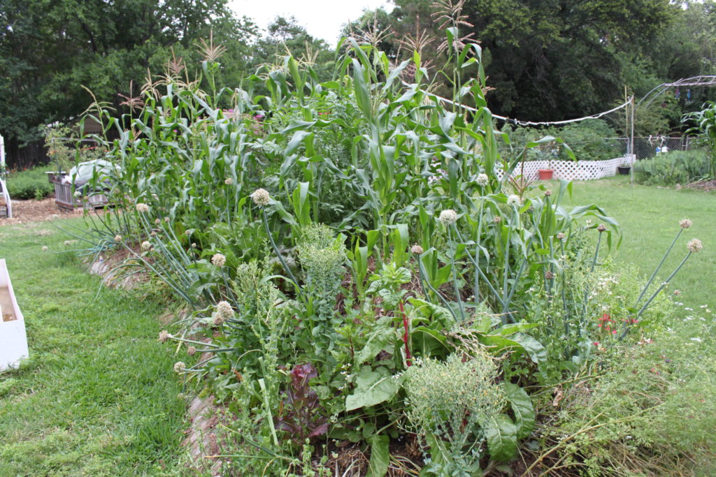 Should you experiment with hugelkultur in your garden? | Hello Homestead
