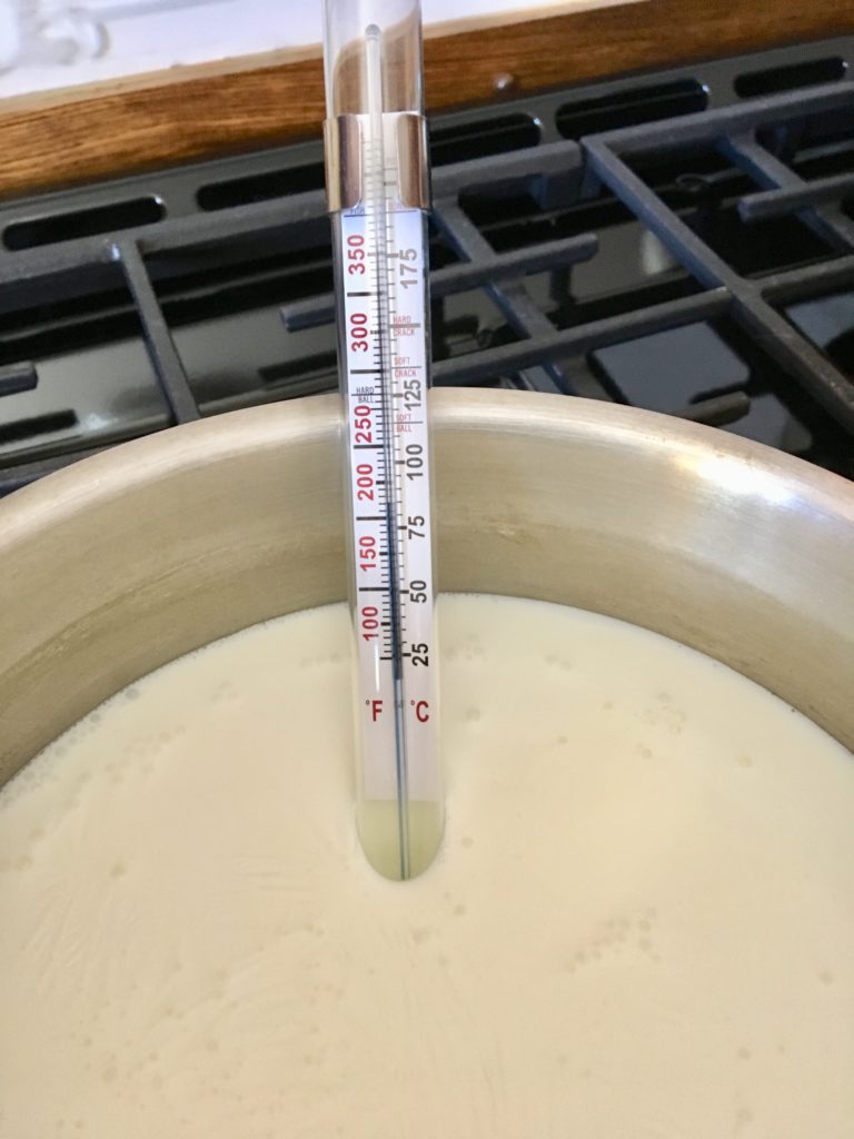 How to make yogurt at home | Hello Homestead