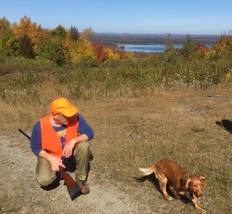 How to get started with bird hunting | Hello Homestead