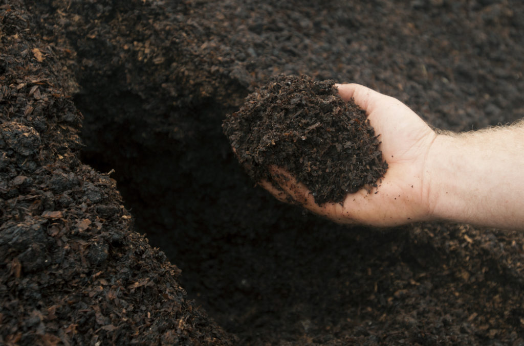 Easy soil tests you can do at home | Hello Homestead