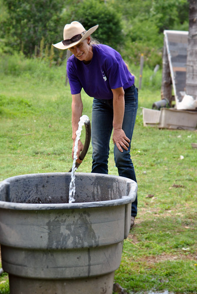 A look inside hobby farm life | Hello Homestead