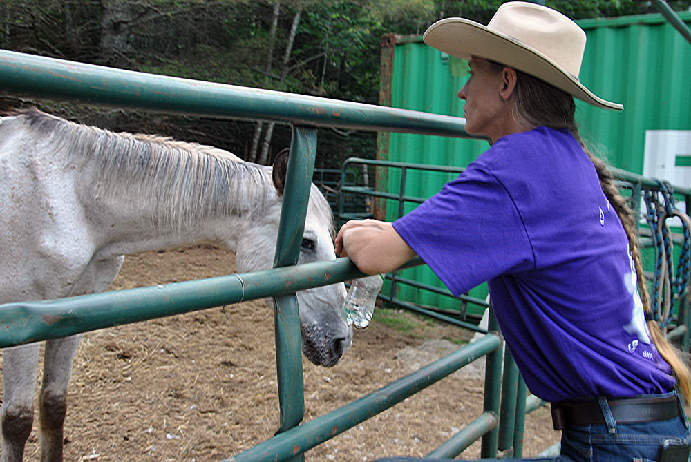 A look inside hobby farm life | Hello Homestead