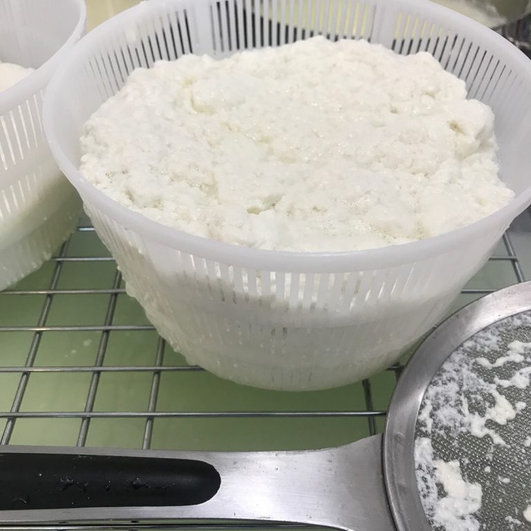 What to make with sheep milk: Cheese, lotion, more! | Hello Homestead