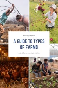 A guide to types of farms | Hello Homestead