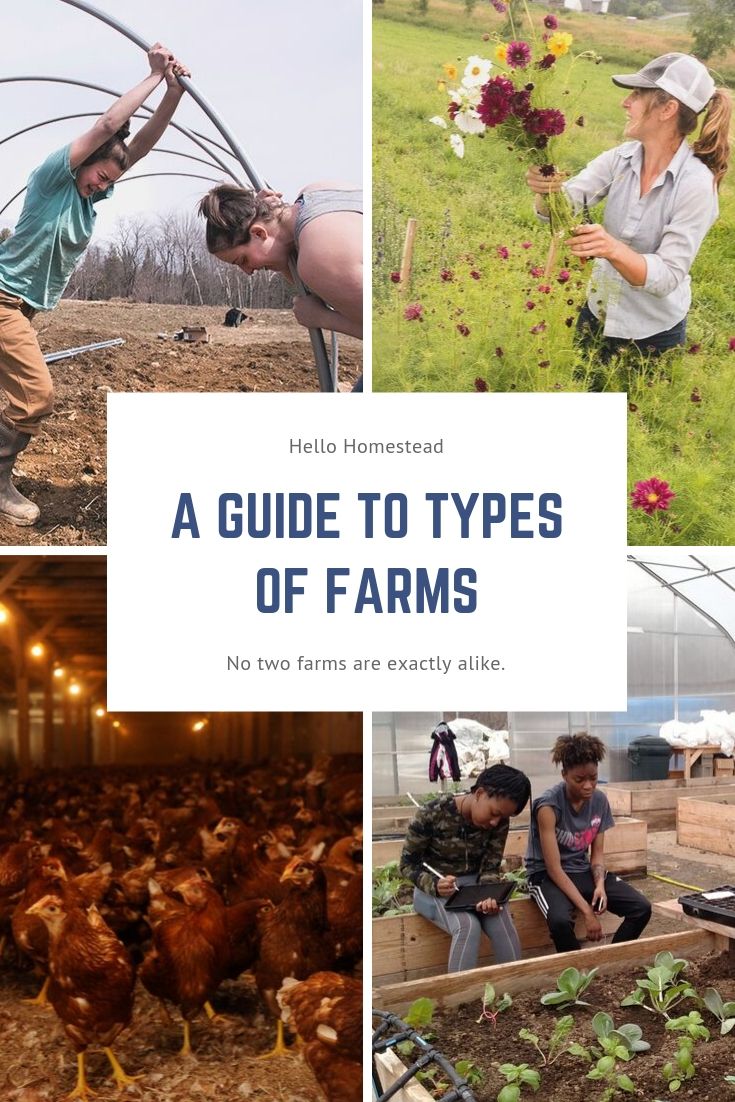 A guide to types of farms | Hello Homestead