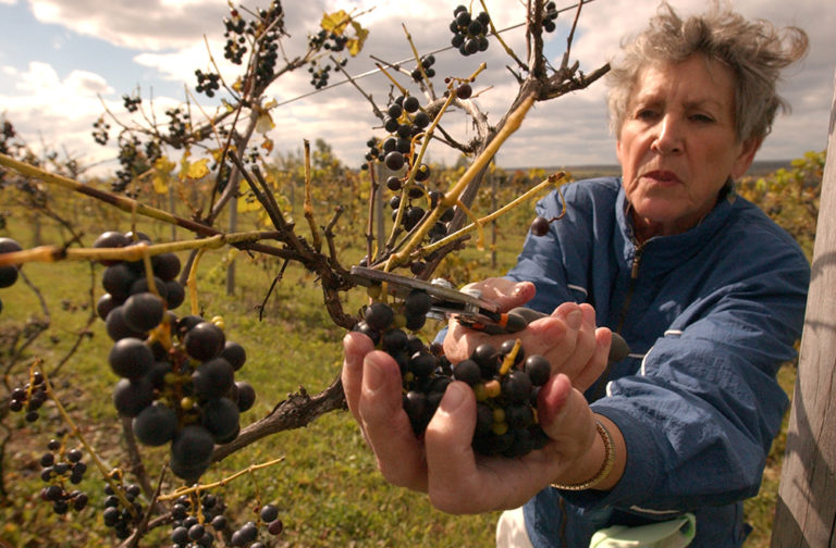 A guide to types of farms | Hello Homestead