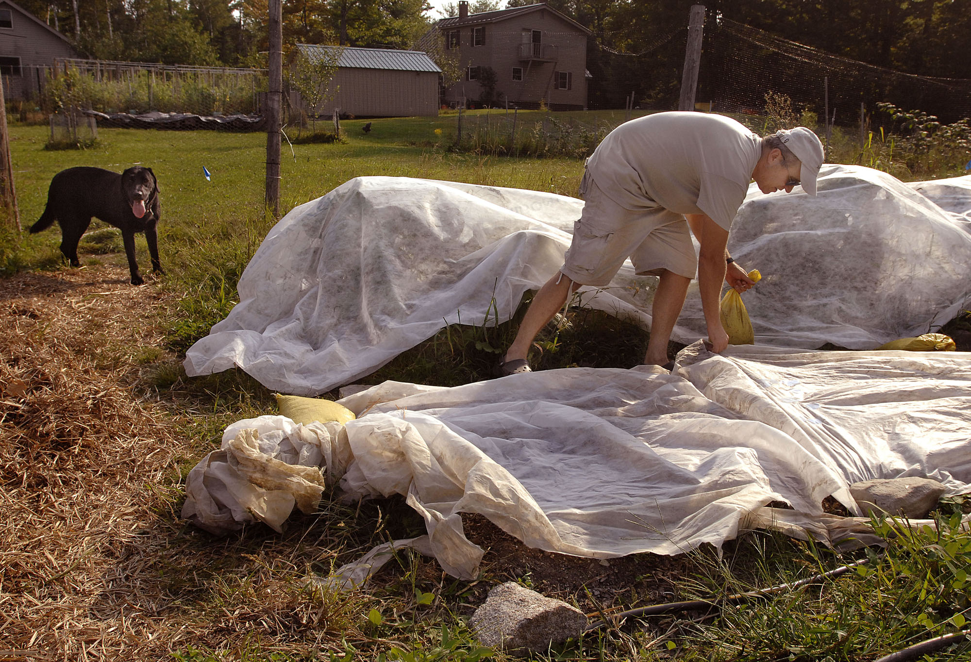 Sustainable farming practices explained | Hello Homestead