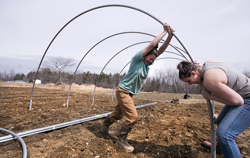 A guide to types of farms | Hello Homestead