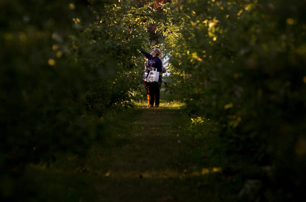 A guide to types of farms | Hello Homestead