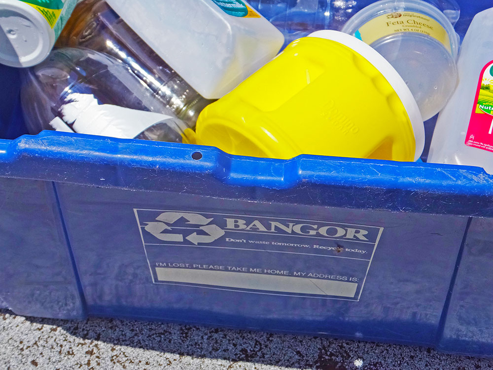 5 ways to reuse recycling bins | Hello Homestead
