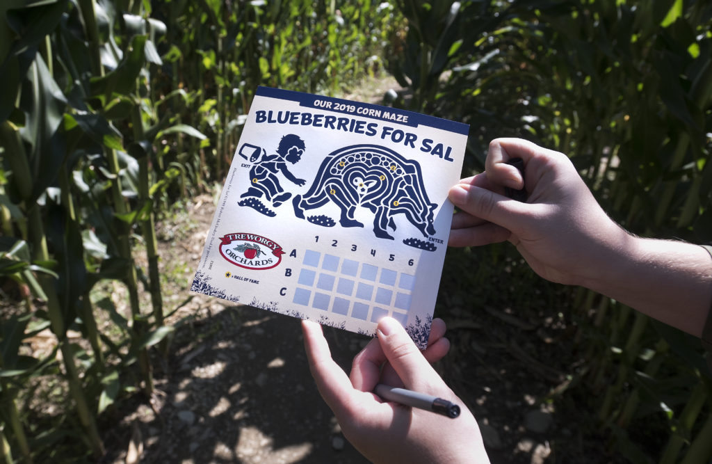 I tried to escape a corn maze. Here's how it went. | Hello Homestead