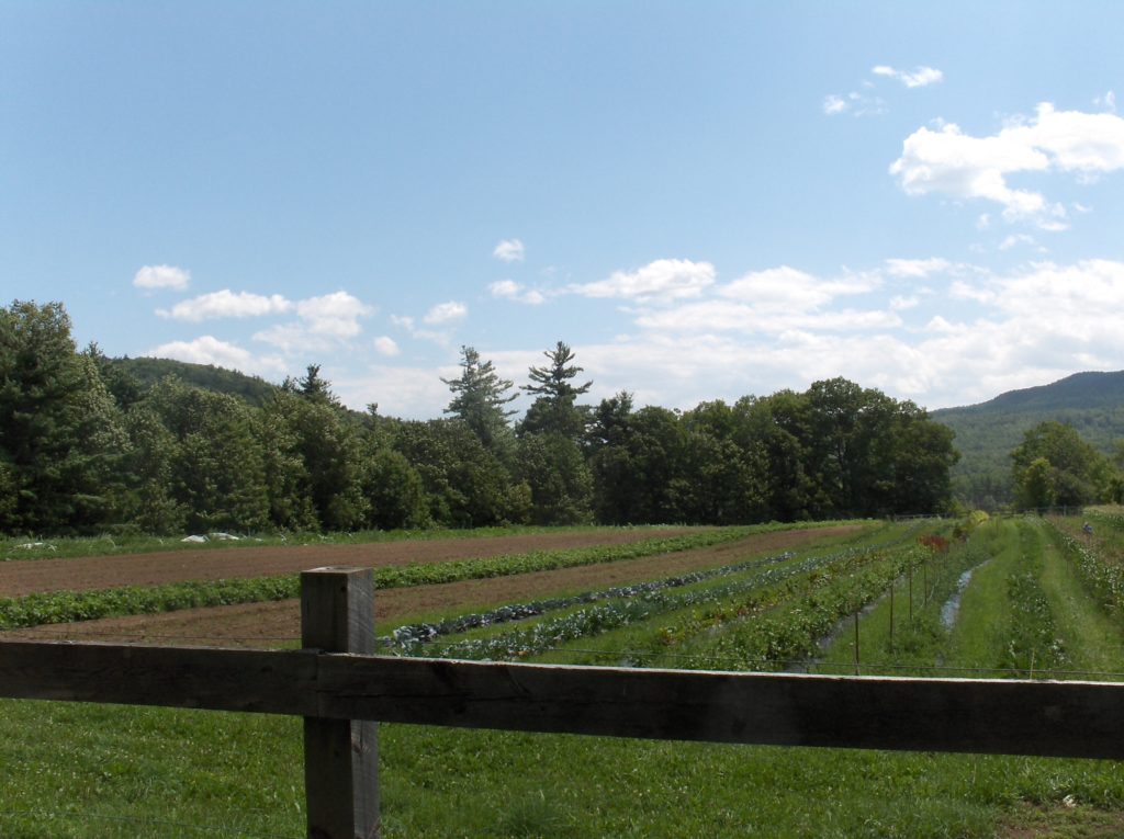How to start homesteading in New Hampshire | Hello Homestead
