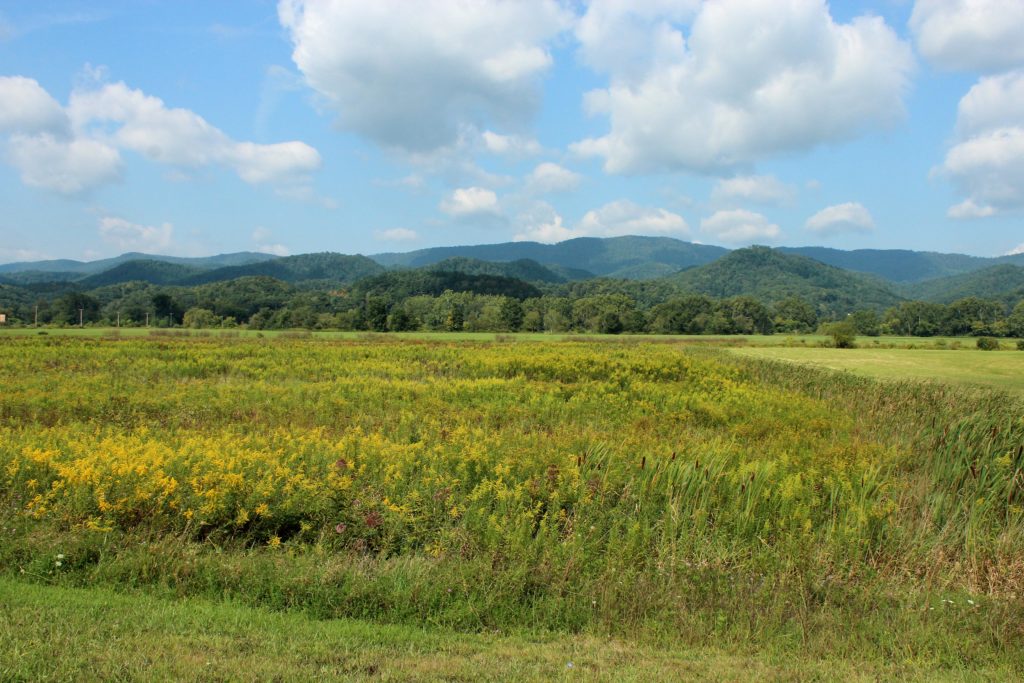 How to start homesteading in West Virginia | Hello Homestead