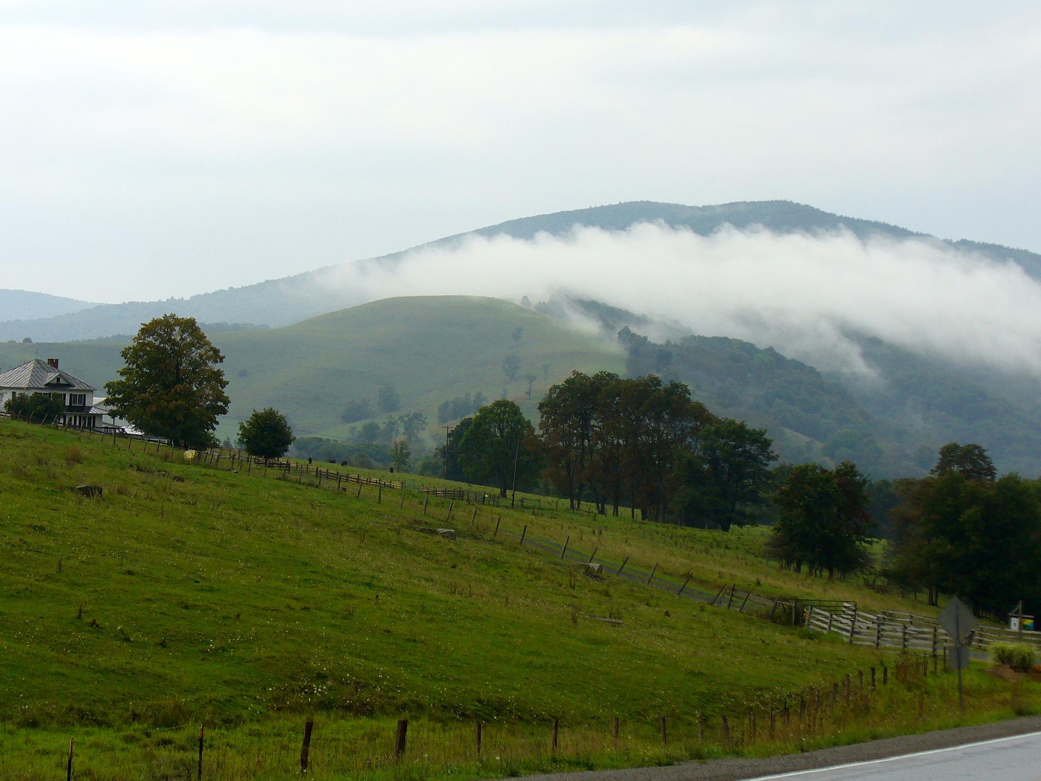 How to start homesteading in West Virginia | Hello Homestead