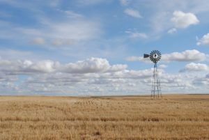 How to start homesteading in Washington | Hello Homestead