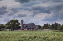 How to start homesteading in Missouri | Hello Homestead