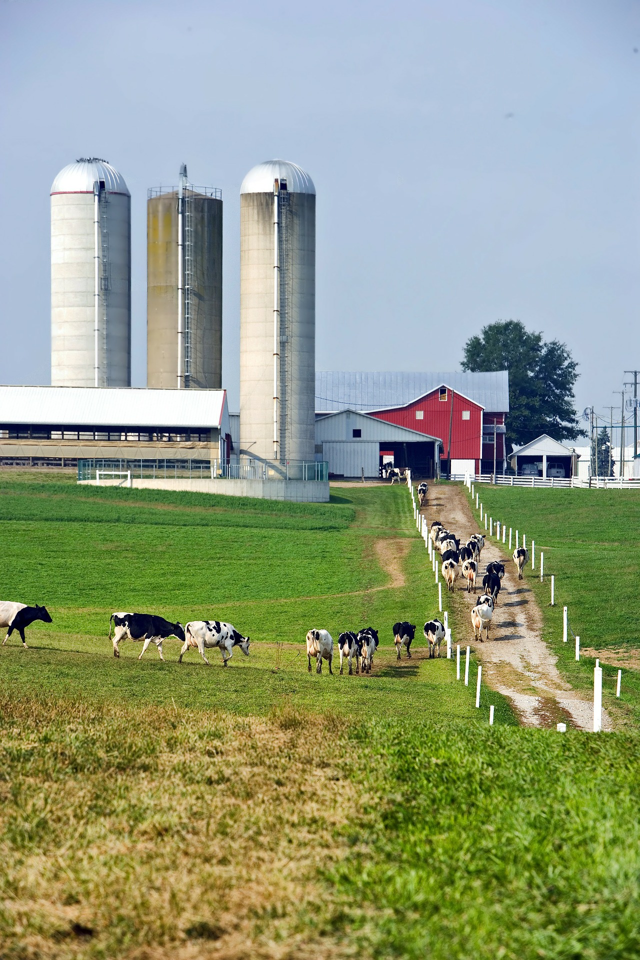 How to start homesteading in Ohio | Hello Homestead