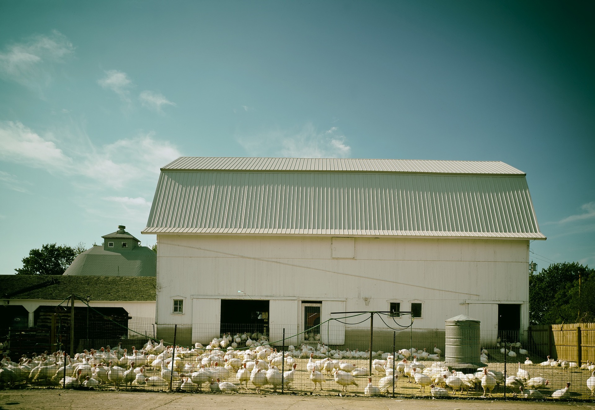 How to start homesteading in Illinois | Hello Homestead