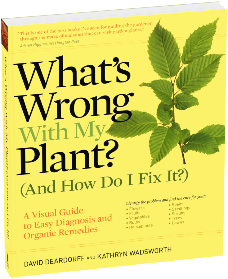 6 gardening books to get you in the mood for growing | Hello Homestead