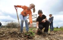 What is micro farming? | Hello Homestead